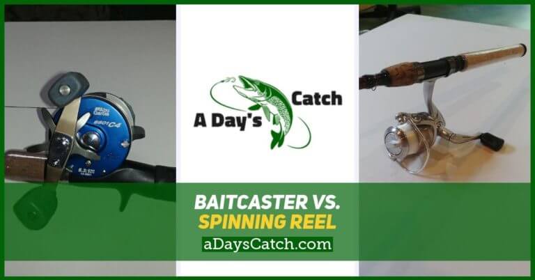 Baitcast vs Spinning Reel - Which One For You and Why | A Day's Catch