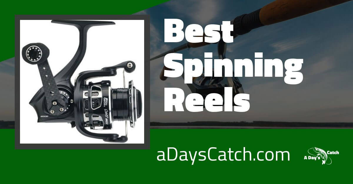 Choose the Best Spinning Reel for 2024 | A Day's Catch