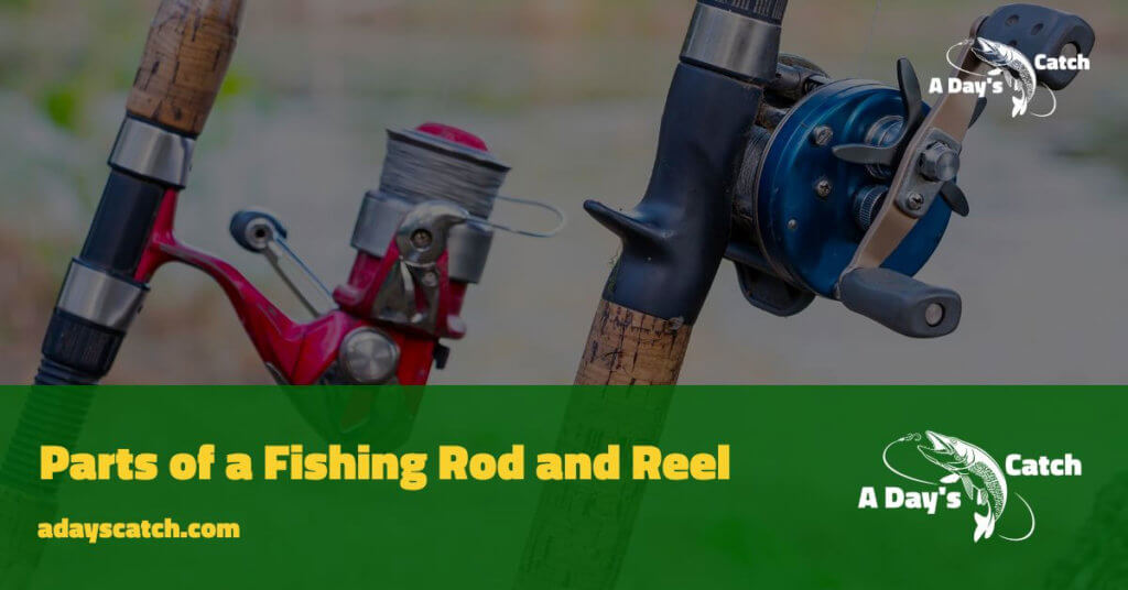 Parts Of A Fishing Rod And Reel A Day s Catch