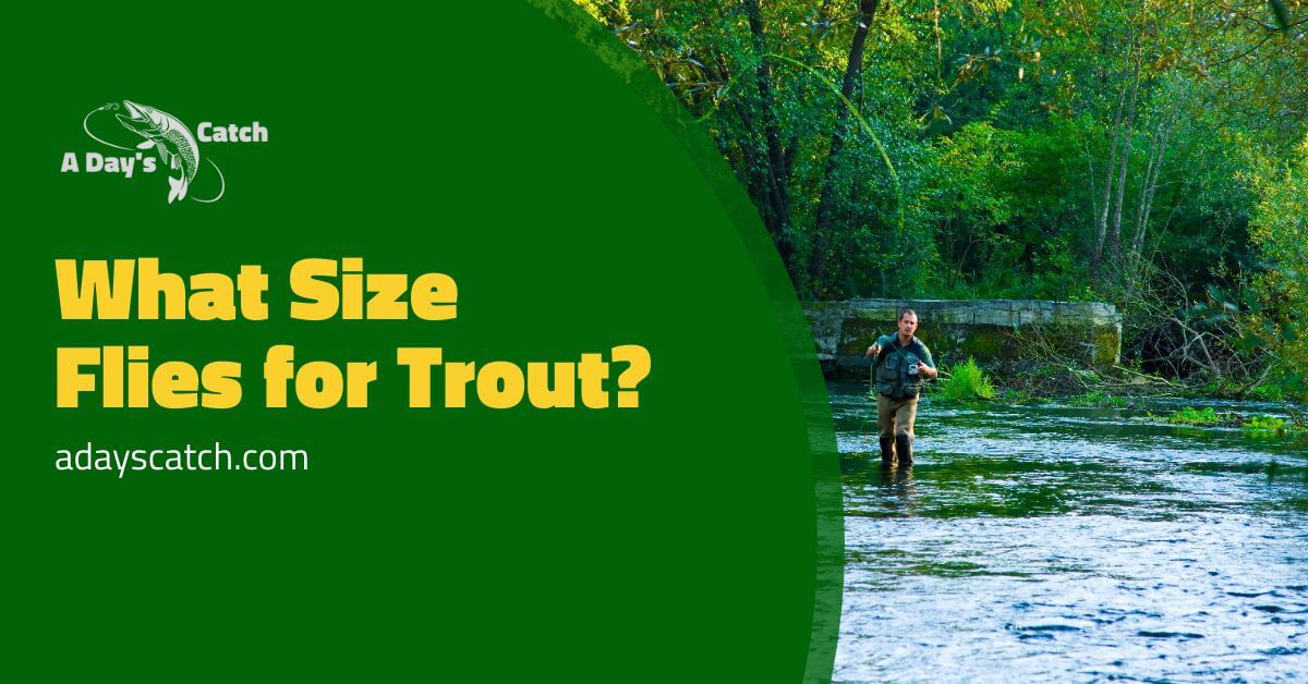What Size Flies for Trout? | A Day's Catch