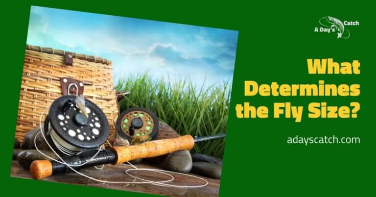 What Size Flies for Trout? | A Day's Catch