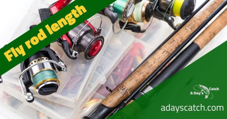 How to Determine Fly Rod Weight | A Day's Catch