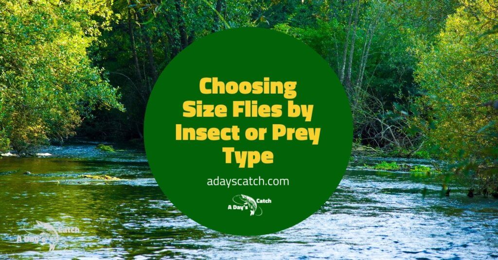 What Size Flies for Trout? | A Day's Catch